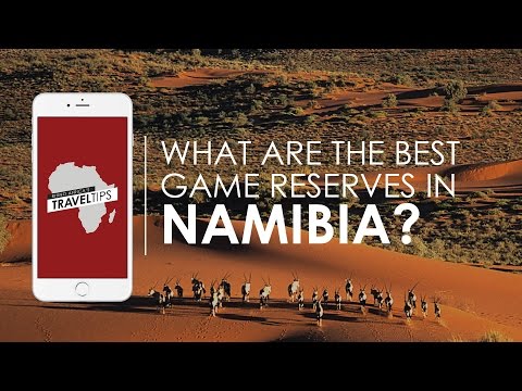 What are the best game reserves in Namibia? Rhino Africa's Travel Tips