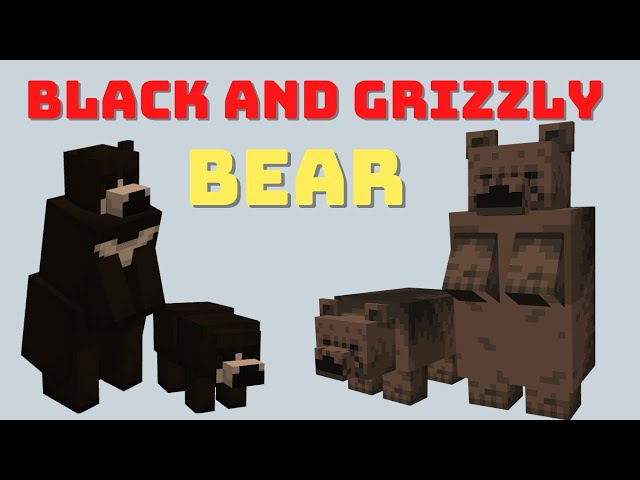 Addon Black and Grizzly Bear [Minecraft Bedrock] Minecraft Mod