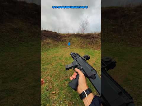 CZ SCORPION EVO 3 or HK SP5? #hk #cz #review #shooting #weapons #guns #reshoot