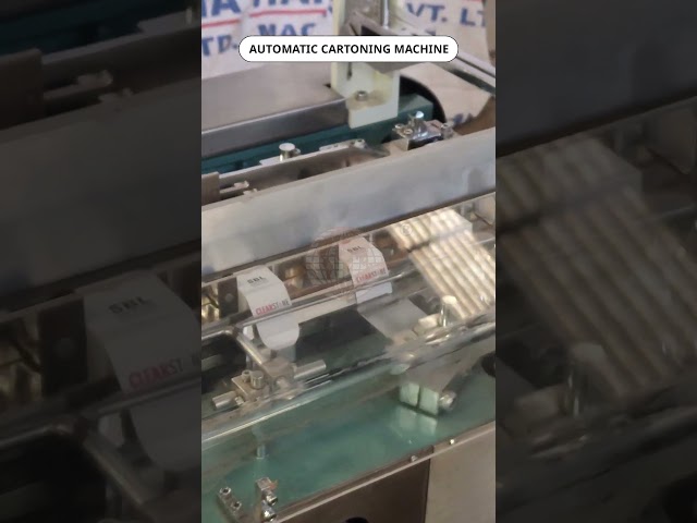Carton Packing Machine - Automatic Horizontal Cartoning Machine ...