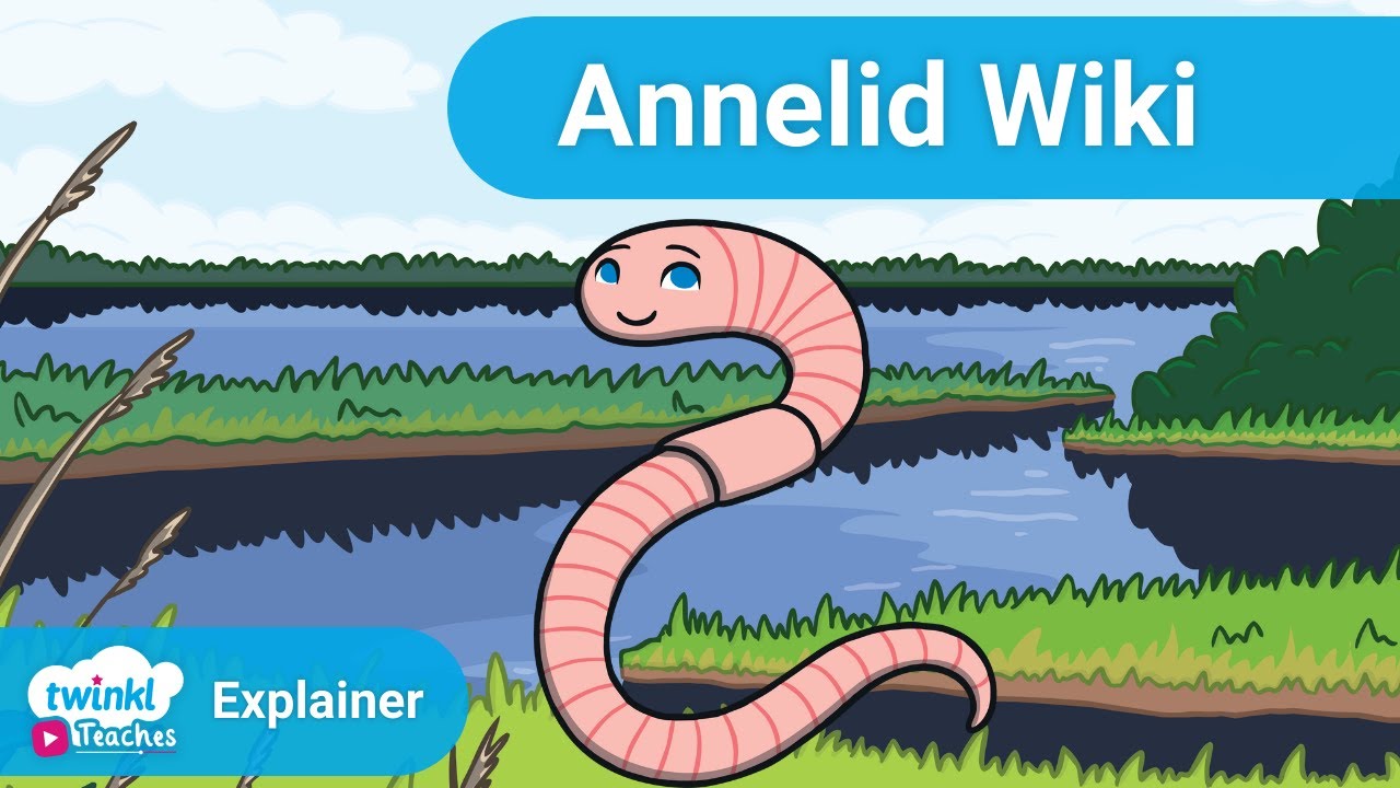 Annelids Wiki