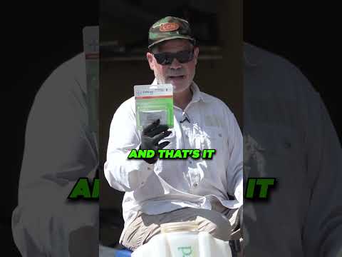 Best Weed Control for St Augustine, Bermuda, Zoysia and Centipede Grass #diy #lawncare