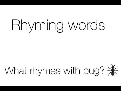 What rhymes with bug?