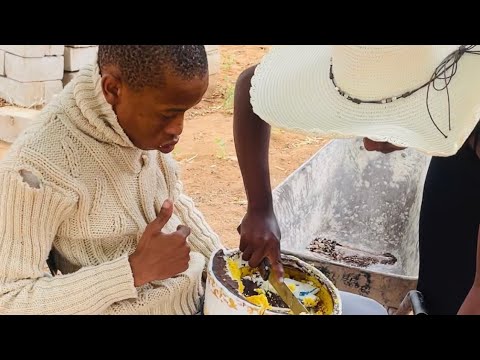 Visitor |Skeem Noa|Comedy