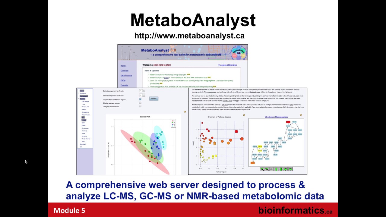 Metabolomic Data Analysis using MetaboAnalyst