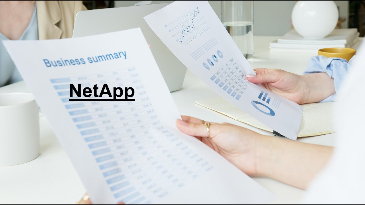 NetApp Business Summary