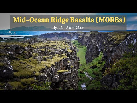 Mid-Ocean Ridge Basalts (MORB's)