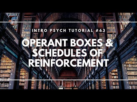 Operant Boxes & Schedules of Reinforcement (Intro Psych Tutorial #63)