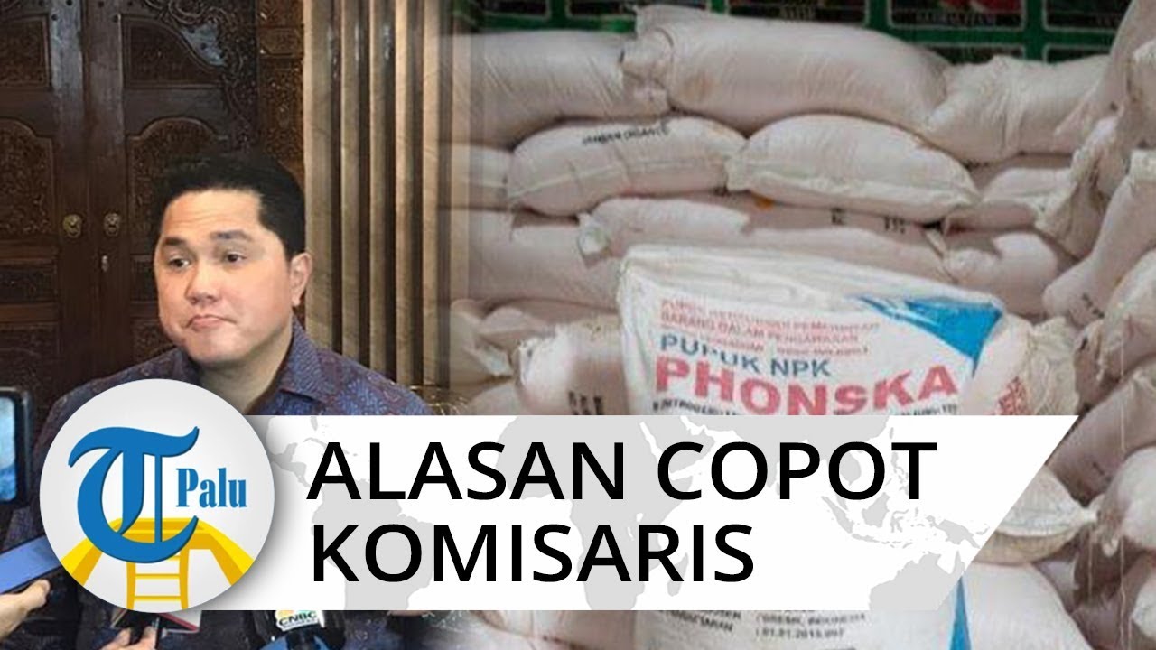 Alasan Erick Thohir Copot Jabatan Yanuar Rizky Komisaris Pupuk ...