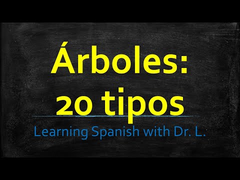 Learn 20 Types of Trees in English, Spanish, and Scientific Names in Four Minutes!