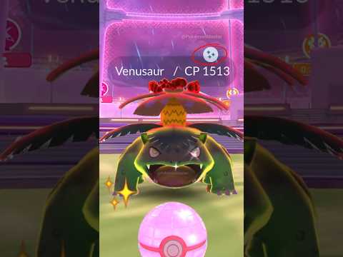When I got ✨ Shiny Dynamax Frog 🐸 in Pokemon GO.
