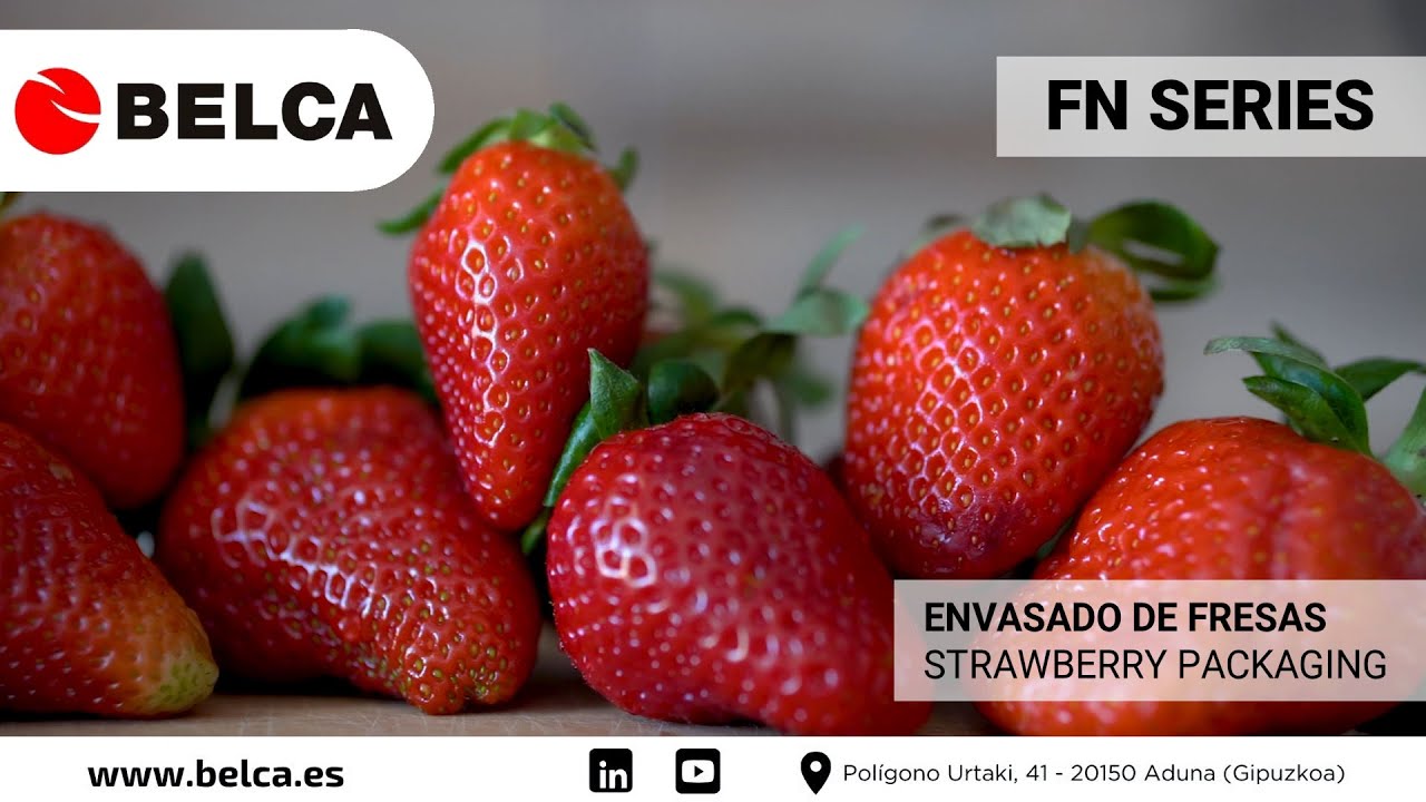 Flow-pack FN SERIES: FN 300 5S - BELCA