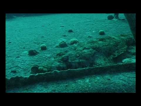 red sea.mpg