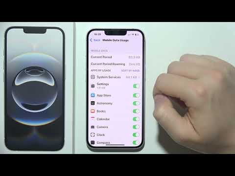 iPhone 16e: How to Check Mobile Data Usage