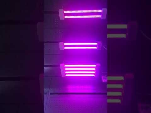 Black Magic 45W LED Grow Light (Lowes)