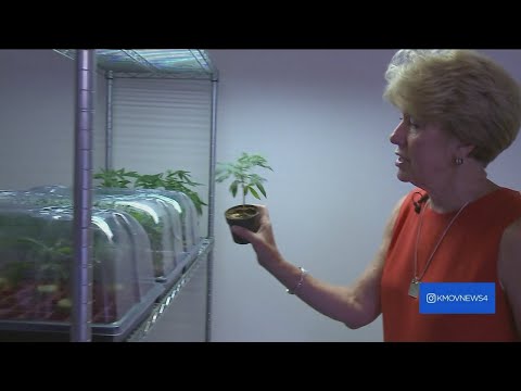 It could be months before Missouri dispensaries sell medical marijuana