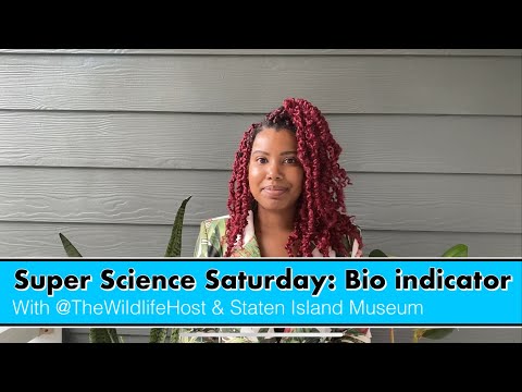 Super Science: What is a Bioindicator?