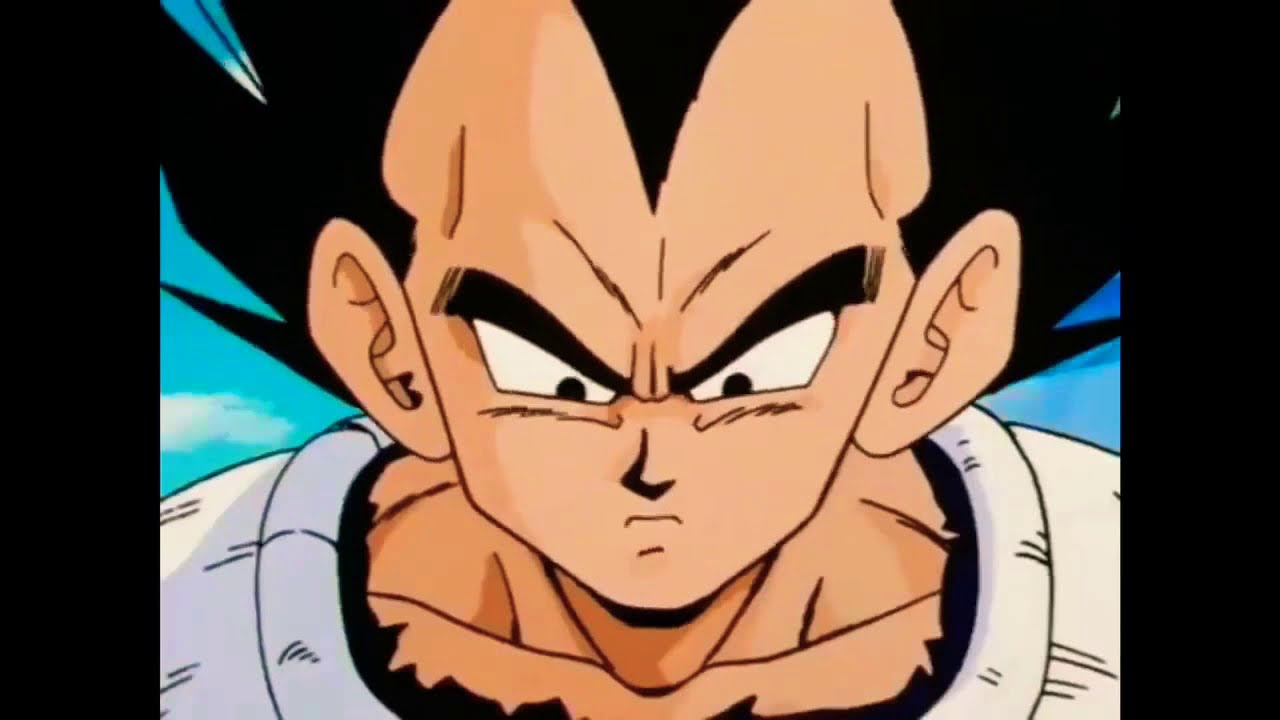 DBZ Abridged | Vegeta with his Pink Shirt 👚 | funny |