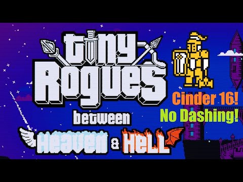 Steam Community :: Video :: Tiny Rogues No Dash - Average Resolute Technique Run (Paladin)