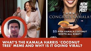 Whats The Kamala Harris Coconut Tree Meme And Why Is It Going Viral ...