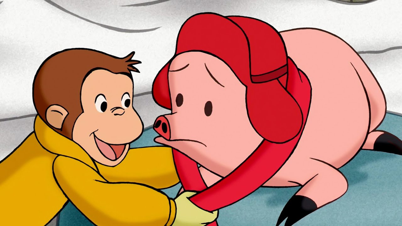Coco hilft einem Schwein | Coco der Neugierige | Cartoons für Kinder