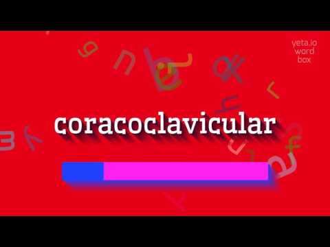 CORACOCLAVICULAR - HOW TO SAY CORACOCLAVICULAR?