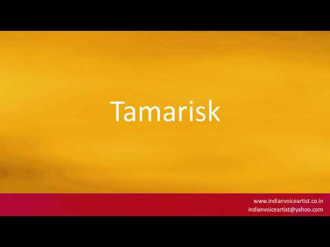 How to pronounce "Tamarisk".