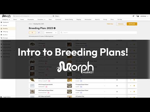 Breeding Plans - MorphMarket News - MorphMarket Reptile Community