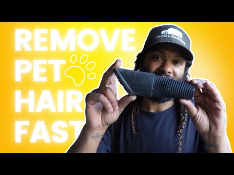 Remove Pet Hair Easily With The Fur Eel Pro 2 Pet Hair Tool For Your Shop Vac