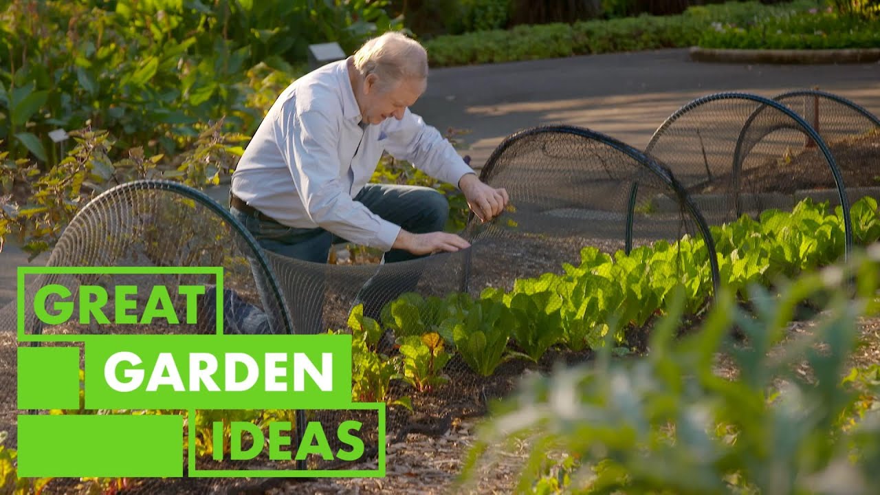 How to Create a THRIVING Vegetable Patch | GARDEN | Great Home Ideas