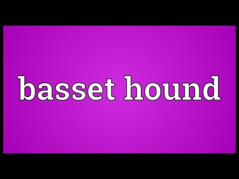 Basset hound Meaning