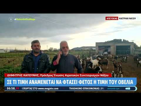 Ακριβότερο φέτος το Πάσχα το αρνί και το κατσίκι της Νάξου - naxostimes.gr