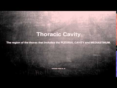Medical vocabulary: What does Thoracic Cavity mean