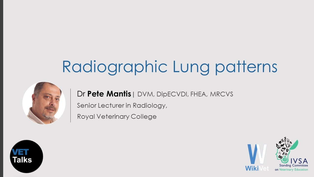 VET Talks- Radiographic Lung Patterns