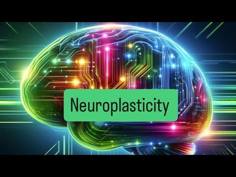 Morning Mental Workout: Neuroplasticity