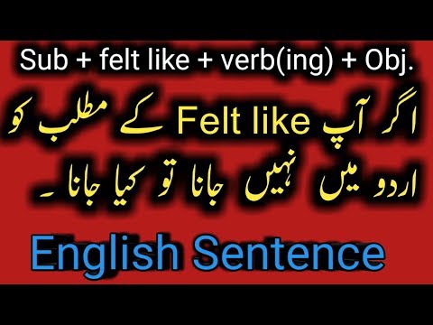 Use of felt like in English sentences with English Urdu | hindi Example
