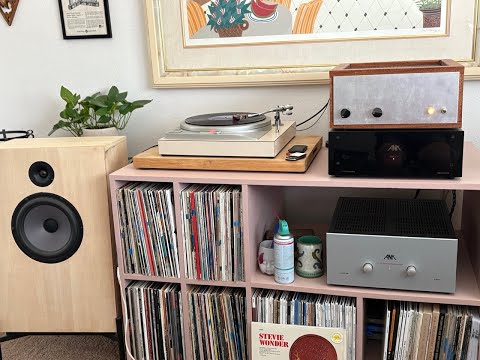Testing Technics SP-25 & Syntec S220 Tonearm w/ my High End DIY Audiophile System Ortofon Red
