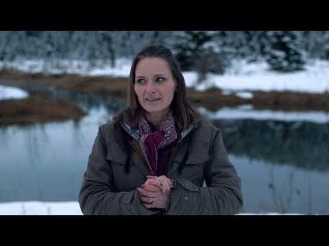 Aliens In Alaska