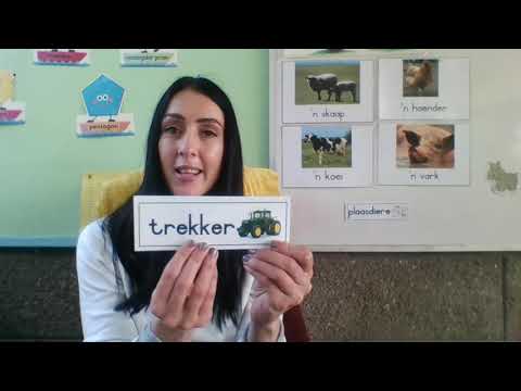 Grade 1 Afrikaans Farm animals