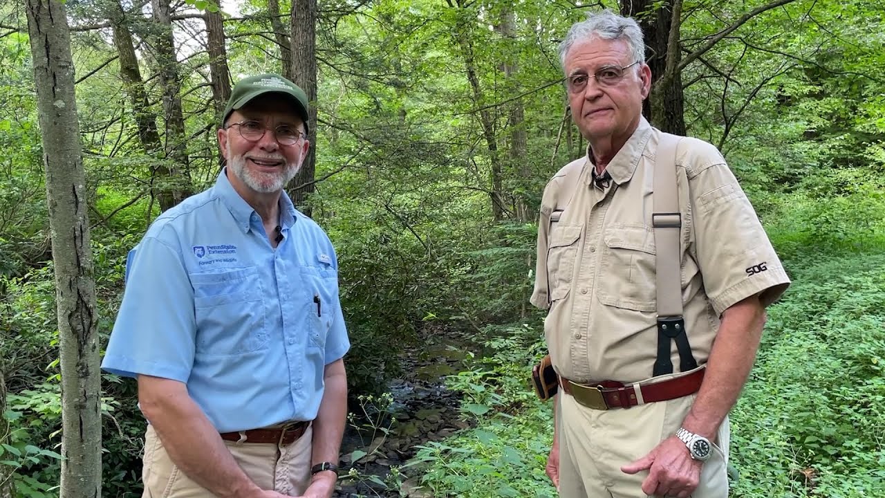 Wood, Water, Wildlife and Work: Profile of a Forest Steward