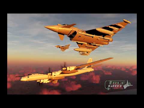DCS World: TrueGrit Virtual Technologies Eurofighter Update