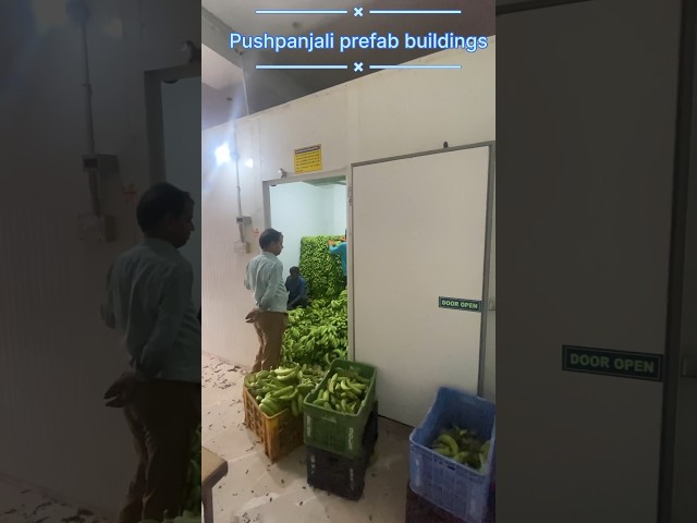 Puf Insulated Wall Panel - 50Mm Wooden Puff Insulated Panels Service ...