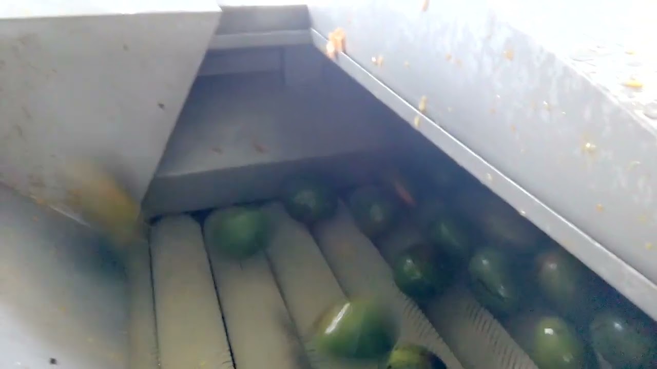ASEPTIC MANGO PROCESSING 30 TPH