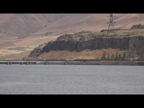WBD BNSF Grain train @ OSL ( Oregon Short Line ) bridge @ Wishram, OR 6/14/21