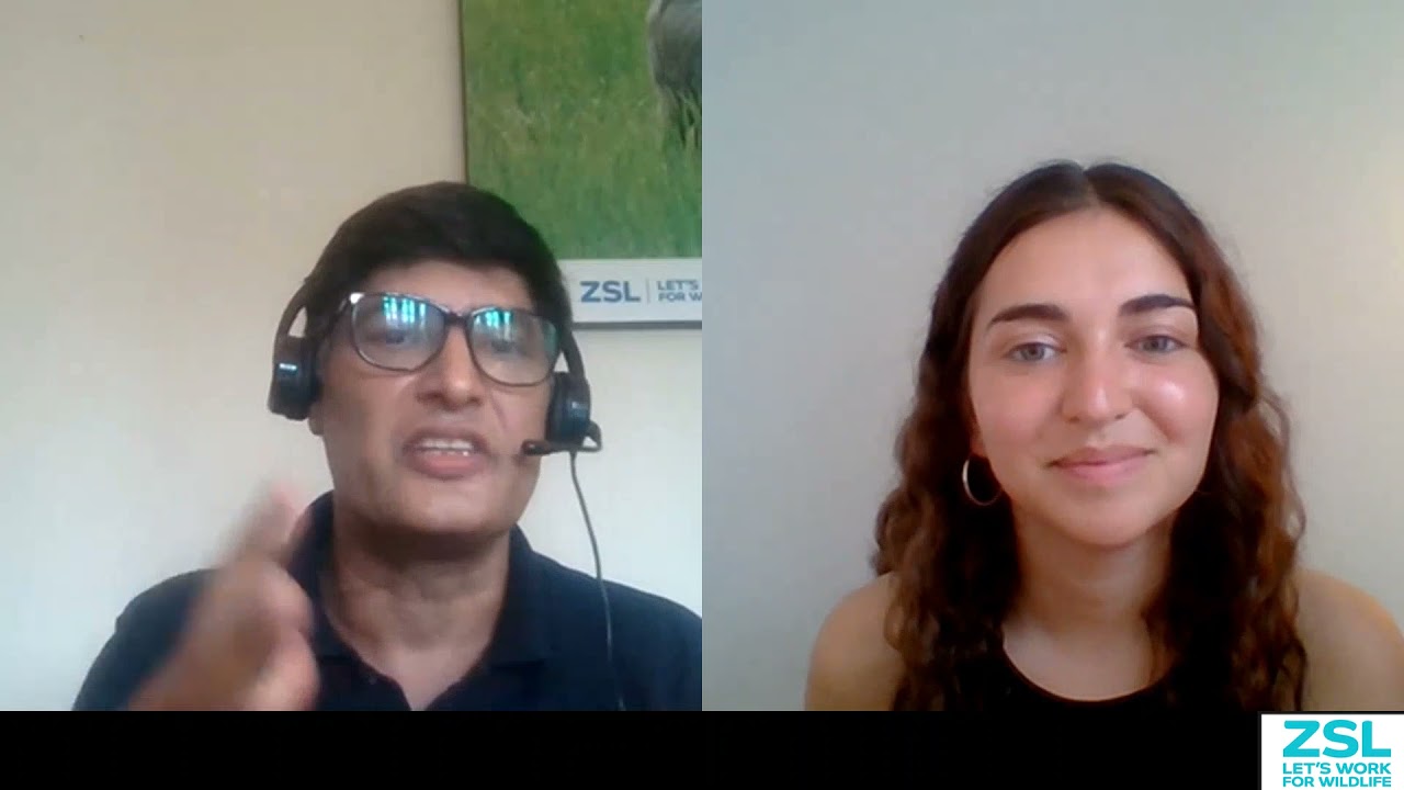 How ZSL and partners are working to save tigers in Nepal