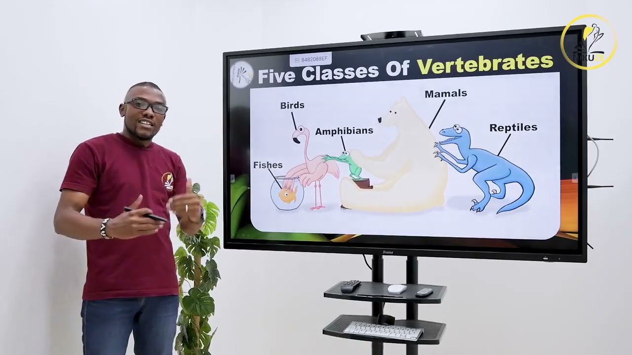 Kenya Grade 5  Lesson Science Animals