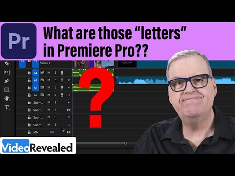 What are those "letters" in Premiere Pro??