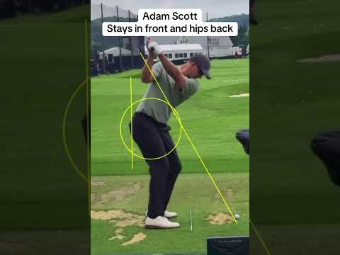 Adam Scott Golf Swing