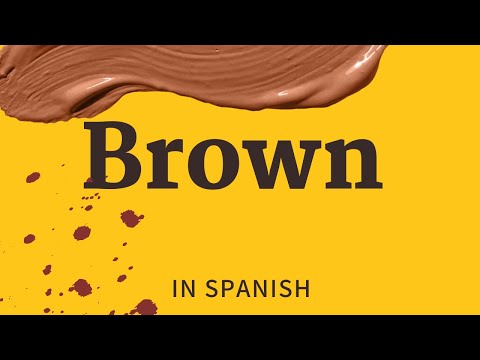 Daily Spanish WORD | How do you say (“brown”) in Spanish 🤎