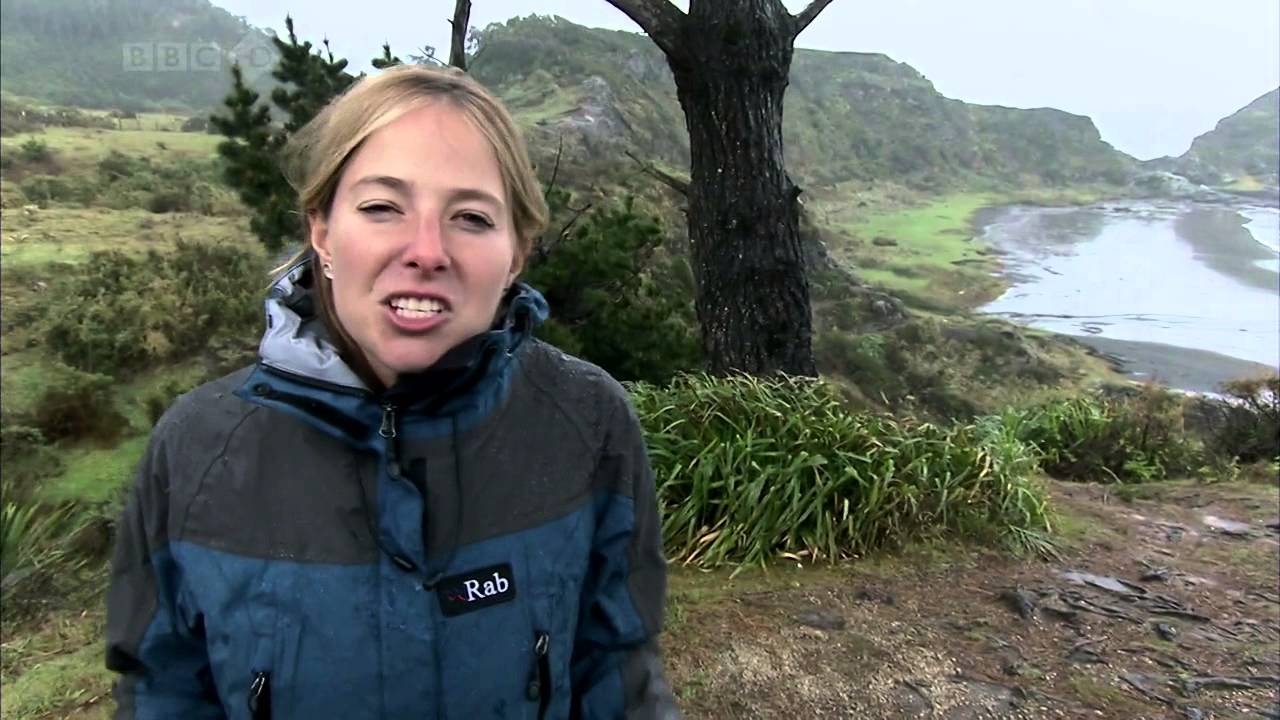 Tracing the Incredible Human Journey: From Africa to the Americas ...